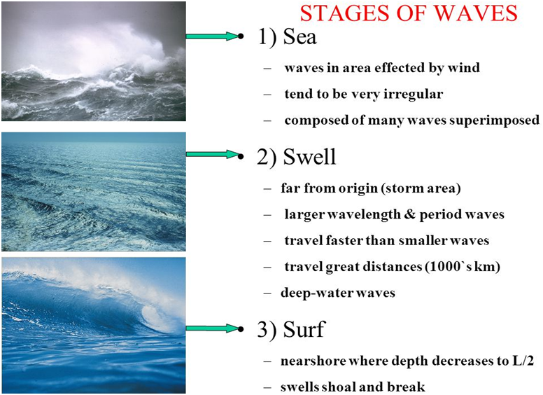 Swell Waves FOTIS EDU Swell Waves FOTIS EDU