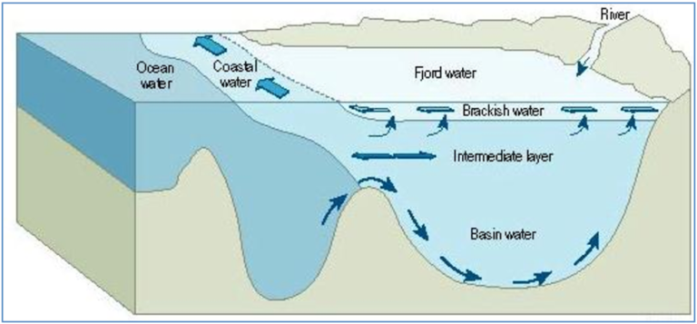 How are the fjords formed? - FOTIS EDU