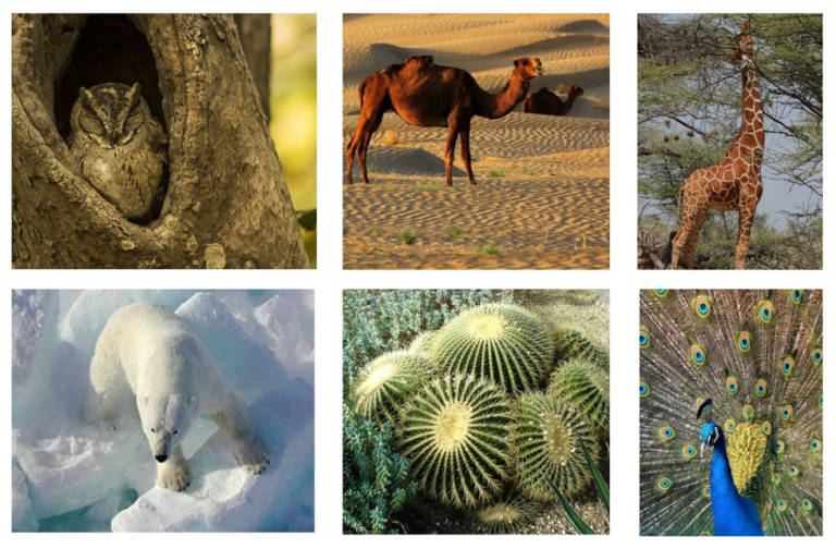 Plants and animals that exist in a particular ecosystem are those that ...