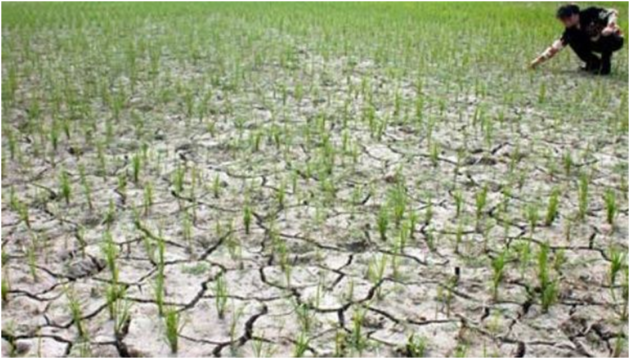 AGRICULTURAL PRODUCTIVITY – DECLINE – CAUSES AND EFFECTS - FOTIS EDU AGRICULTURAL PRODUCTIVITY – DECLINE – CAUSES AND EFFECTS - FOTIS EDU